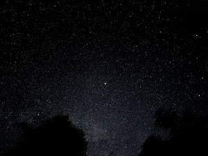 Deneb - Alpha Cygni – Constellation Guide