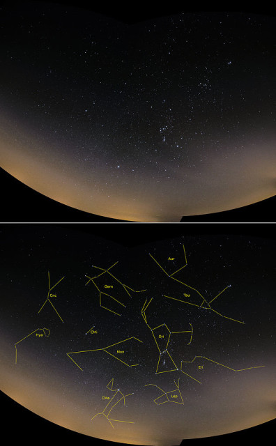 Procyon Constellation Guide