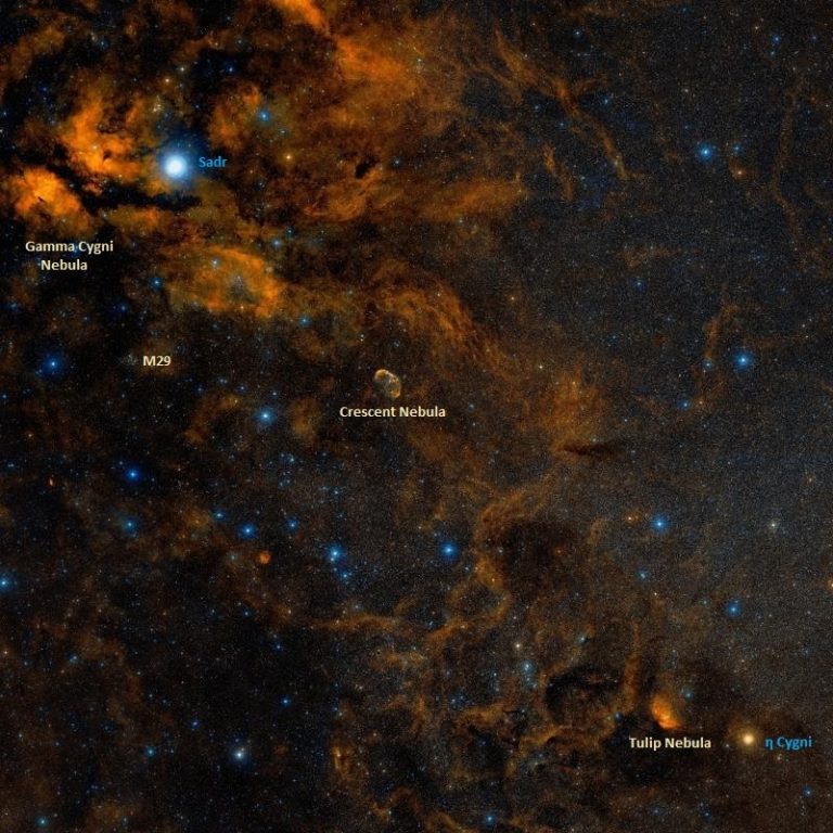 Tulip Nebula (Sharpless 101) – Constellation Guide