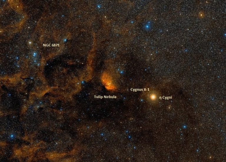Tulip Nebula (Sharpless 101) – Constellation Guide