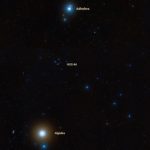 The Sickle of Leo: Stars of the Lion's Mane – Constellation Guide